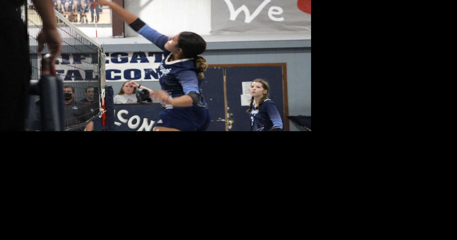 Lady Falcons’ season ends with 5-set loss to Saints; Regional playoffs ...