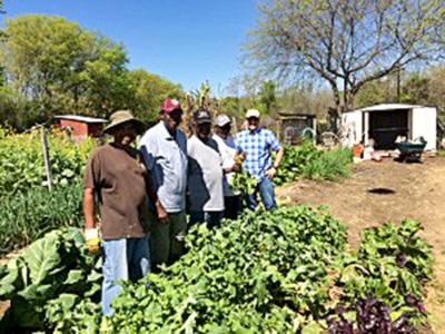 Program gives veterans farming skills | News | seguingazette.com