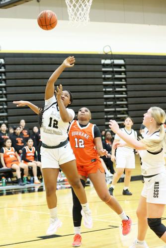 Lady Mats drop second-round district matchup to Burbank | Sports ...