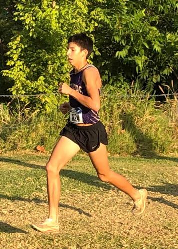 Navarro’s Ethan Luu scoops up gold in Rattler Invitational | Sports ...
