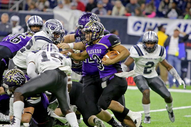 Panthers’ stellar season ends at Houston’s NRG Stadium | Sports ...