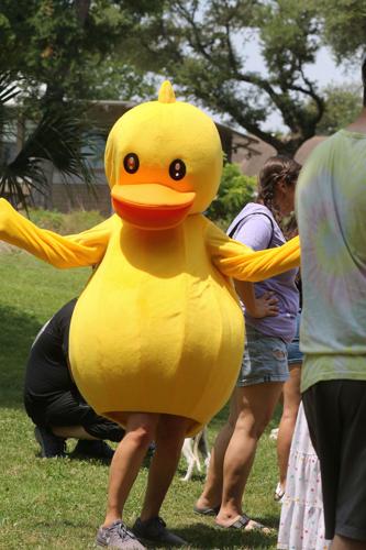 Release the quackens: Duck Fiesta floats on to raise funds for Navarro ...