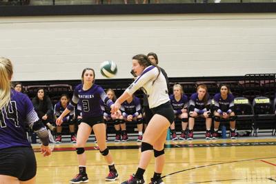 Navarro volleyball receives All-District honors | Sports ...