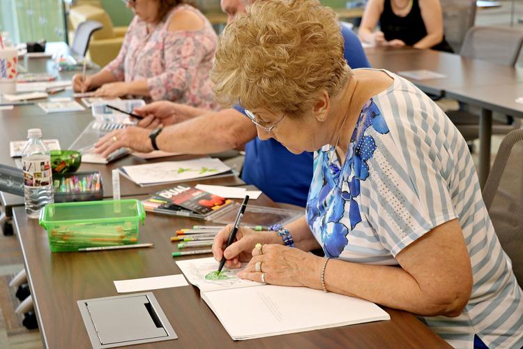 Coloring not child’s play at seasonal event | News | seguingazette.com