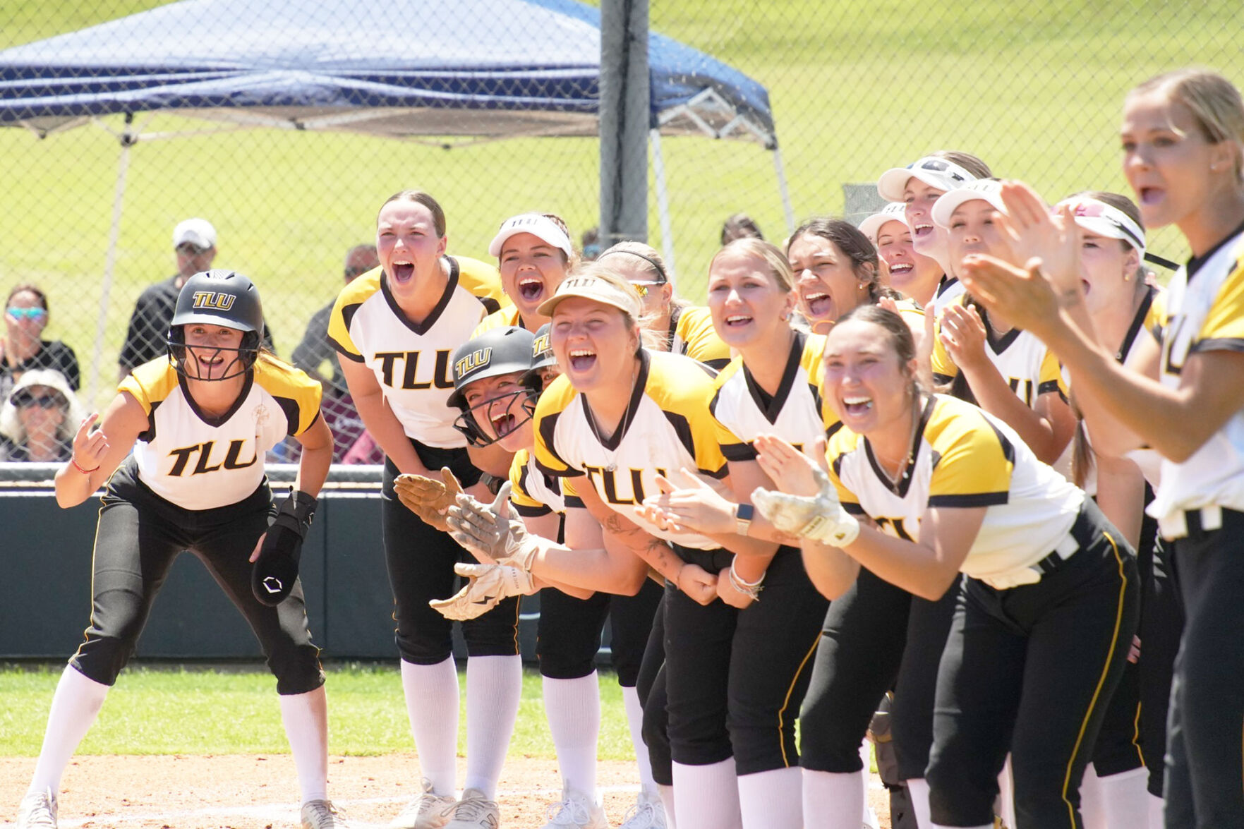 TLU softball selected to 11th straight regional | Sports ...