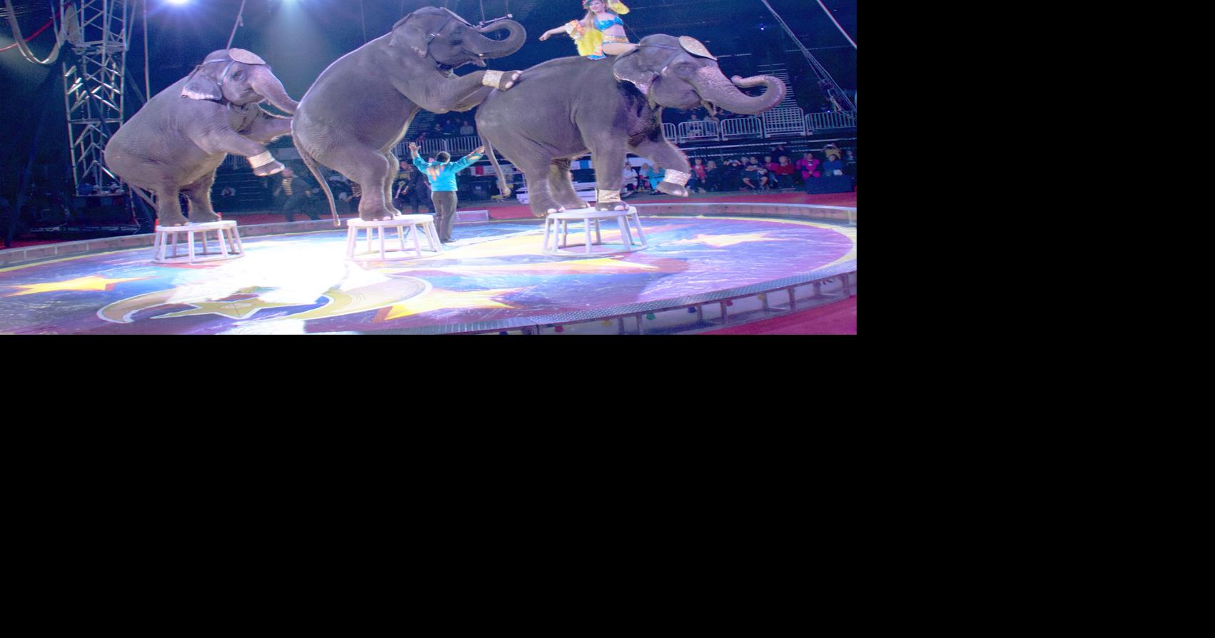 Carden’s Circus coming to town | News | seguingazette.com