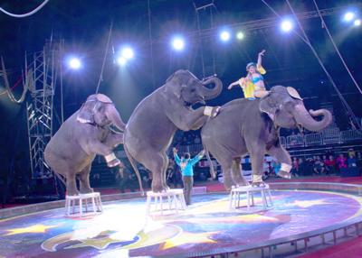 Carden’s Circus coming to town | News | seguingazette.com