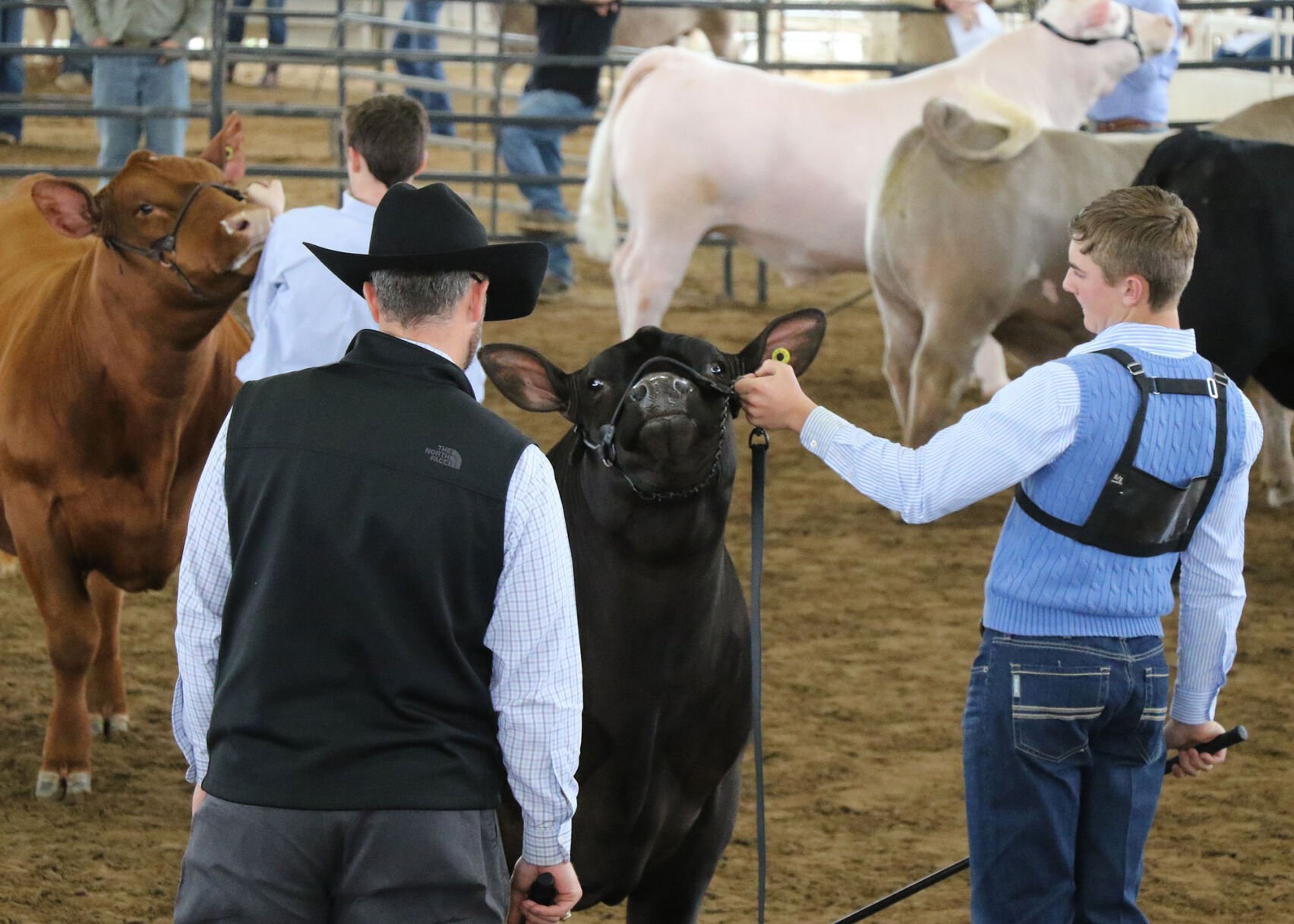 SHOWTIME: Youth display projects at Guadalupe County show | Multimedia ...