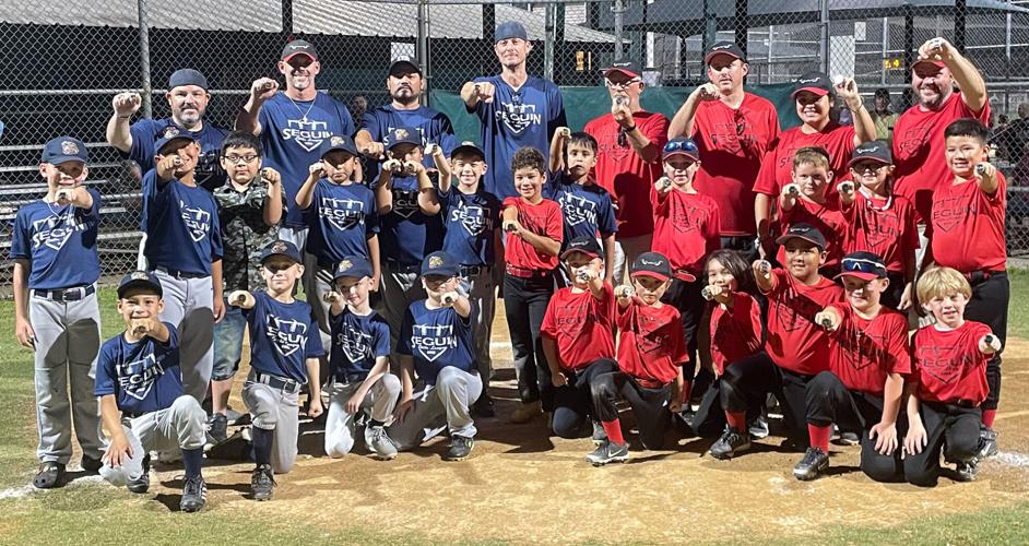 City Champions: Four teams wrap up Little League season | Sports ...