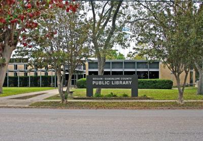 Task force tackling library | News | seguingazette.com