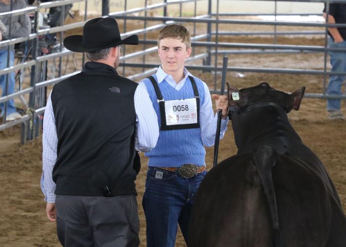 SHOWTIME: Youth display projects at Guadalupe County show | Multimedia ...