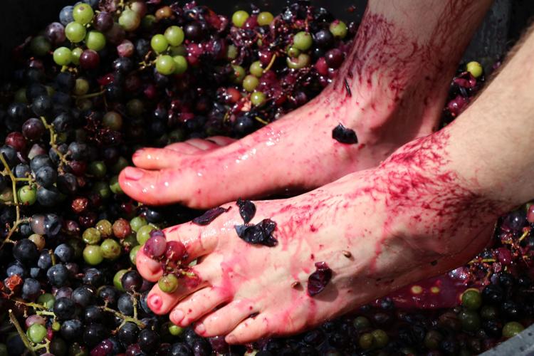 Winery gives guests a glimpse into the past with old-style juicing ...