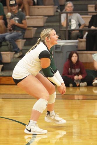 Bulldogs ‘learn and adapt’ after three-set loss to stout Poth squad ...