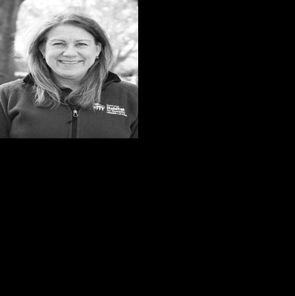 Sandra J. Wesch | Obituaries | seguingazette.com