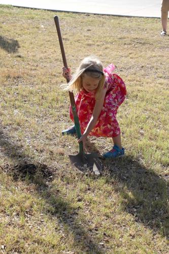 Family plants memorial tree for former science teacher | News ...