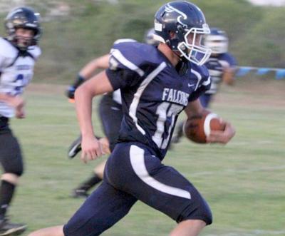 Falcons draw winless Indians on homecoming | Sports | seguingazette.com