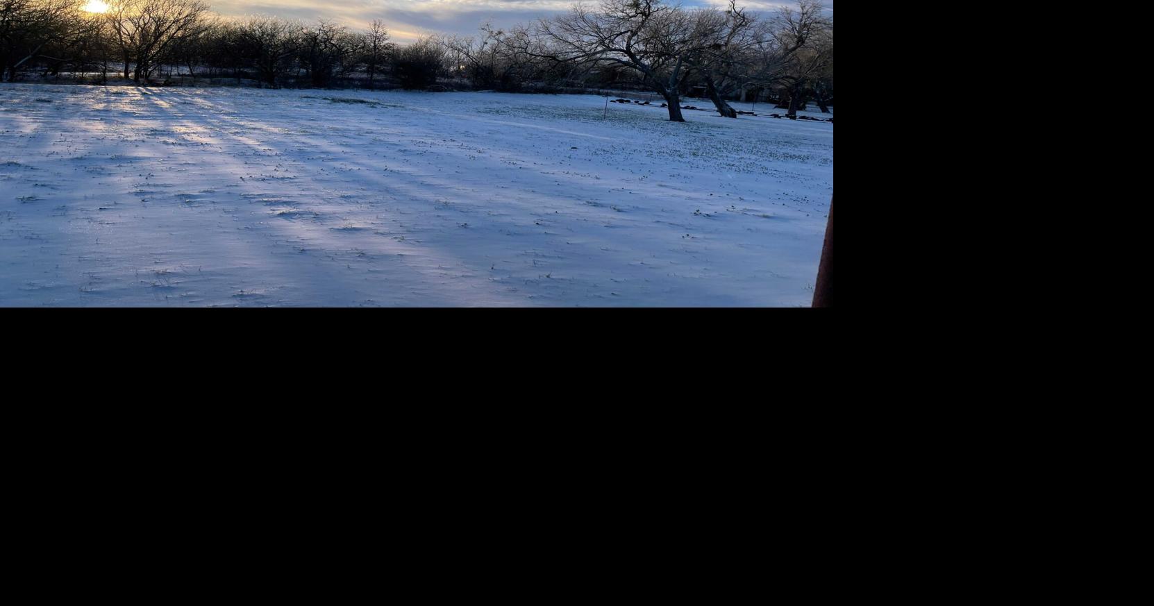 South Texas Snow Day 2021 | Alert | seguingazette.com