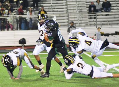 It's a battle of the Dawgs at Marion | Sports | seguingazette.com