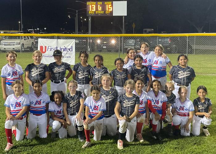 LL 9U softball falls in district championship | Sports | seguingazette.com