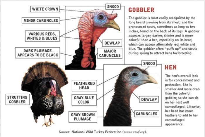 Your Great Outdoors: Spring season is the Fifty Shades of Turkey ...