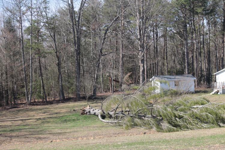 Friday storm leaves thousands in the dark | News | sentinel-echo.com