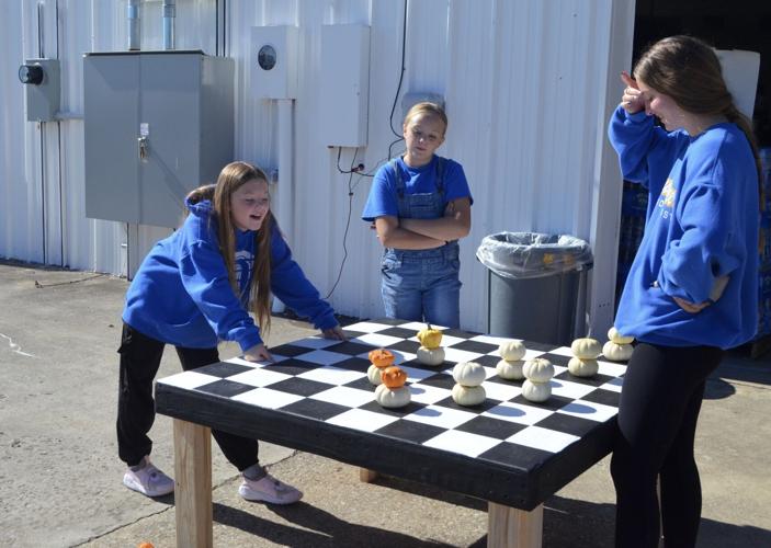 Cornett Farm Fresh hosts inaugural Harvest Festival | News | sentinel ...