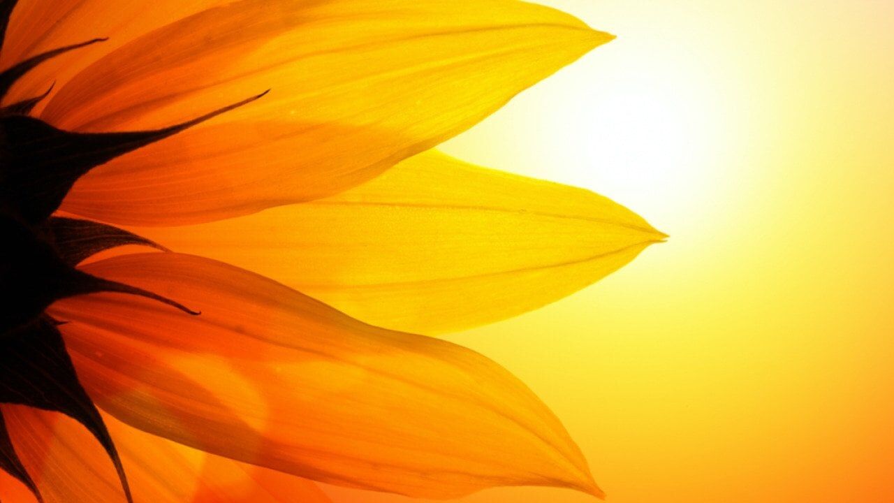Hottest Junes in Kentucky since 1895 | Kentucky | sentinel-echo.com