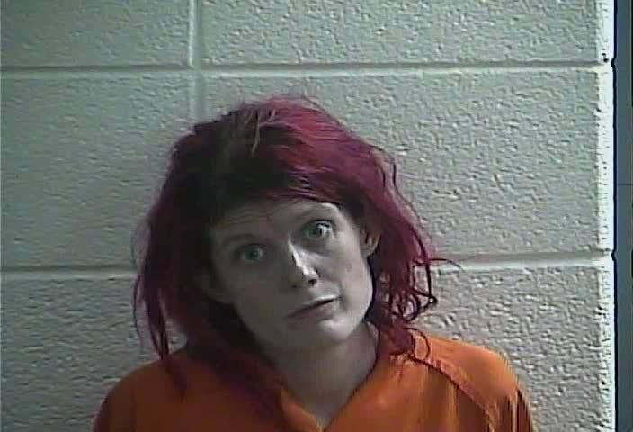 Daughter, son-in-law plead in 2017 murder of Corbin woman | News ...