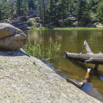 Pond turnover could be why the fish in your pond are dying | Local News ...