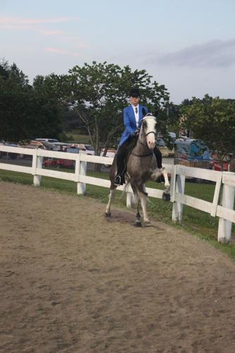 Tim Philpot Memorial Horse Show brings in competitors | Community ...
