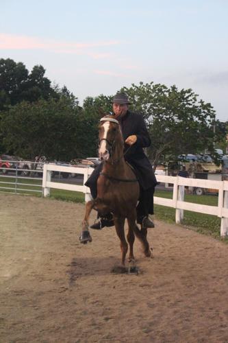 Tim Philpot Memorial Horse Show brings in competitors | Community ...
