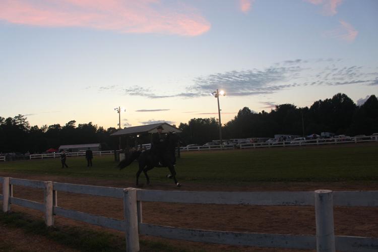 Tim Philpot Memorial Horse Show brings in competitors | Community ...
