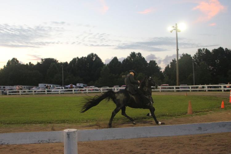Tim Philpot Memorial Horse Show brings in competitors | Community ...