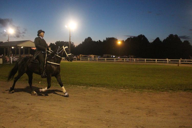 Tim Philpot Memorial Horse Show brings in competitors | Community ...
