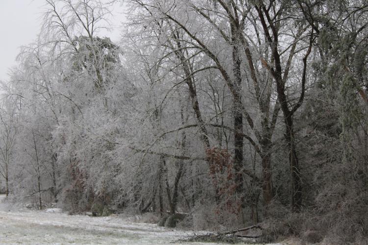 Winter Storm Fern brings snow, ice to Tri-County area | Local News ...