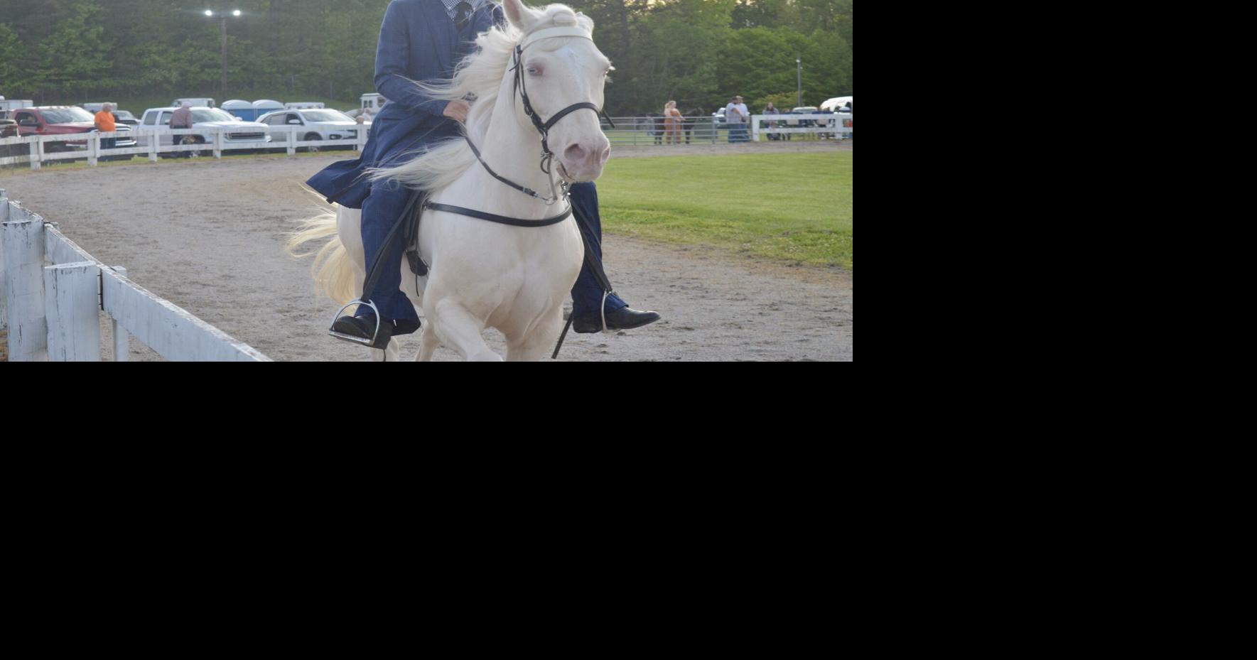 Annual CCC Tim Philpot Memorial Horse Show a success | Community ...