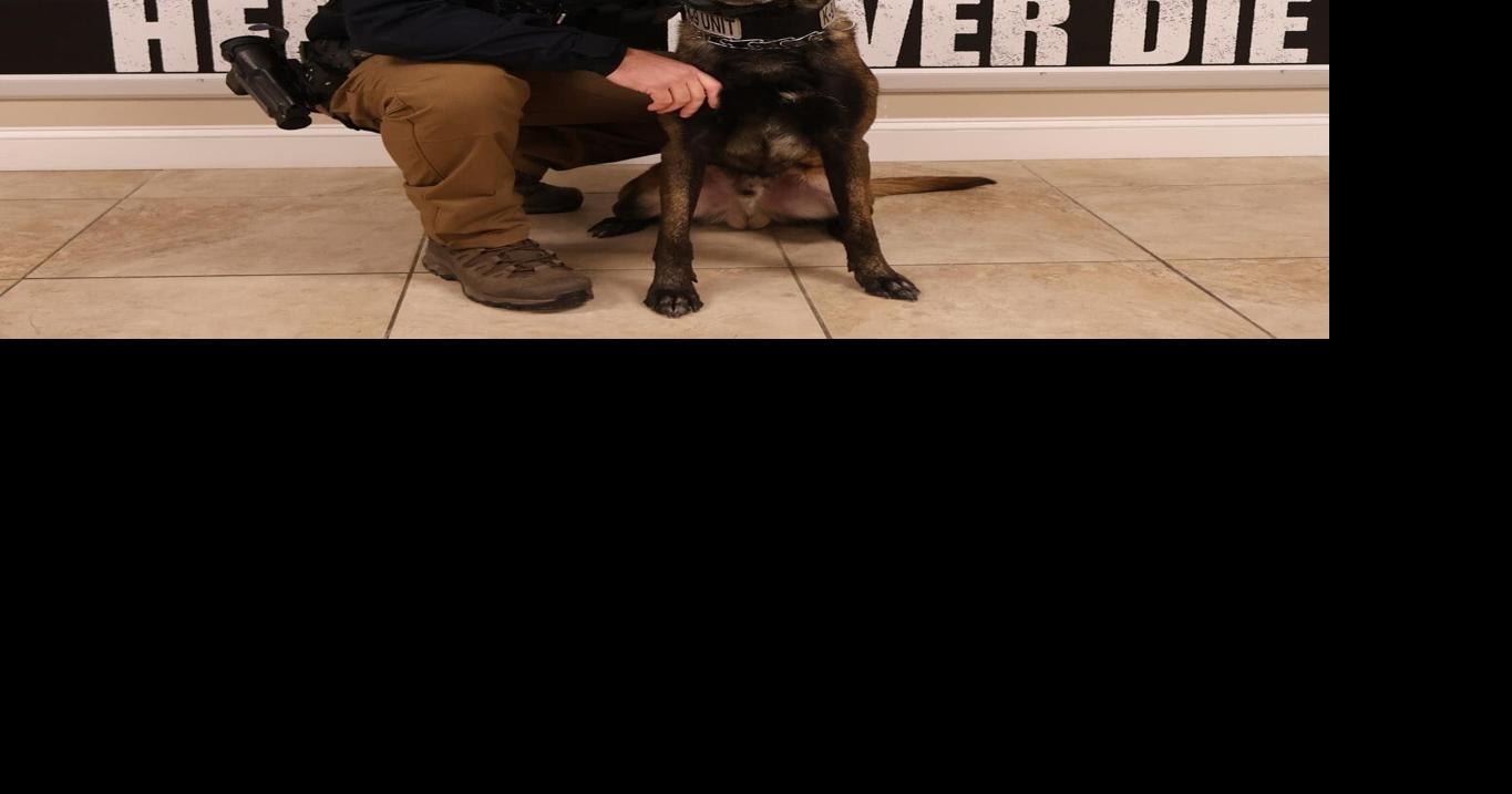 Officers complete interdiction training | Community | sentinel-echo.com