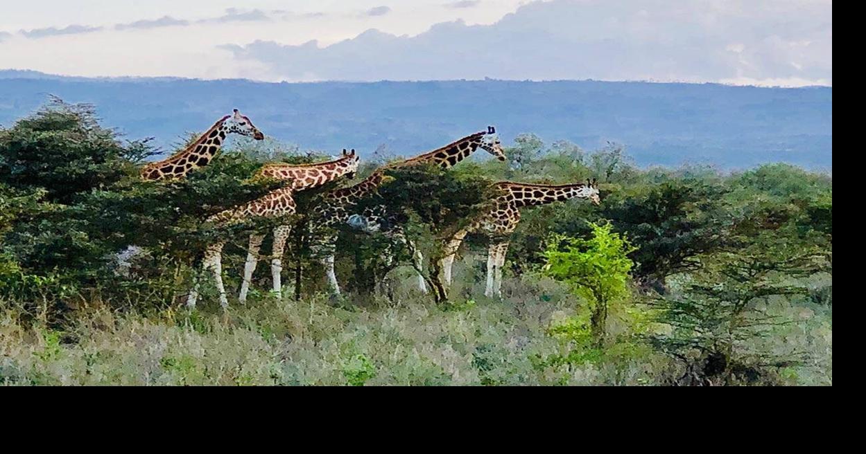 Travel: Can’t get enough of Kenya | Lifestyles | sfexaminer.com