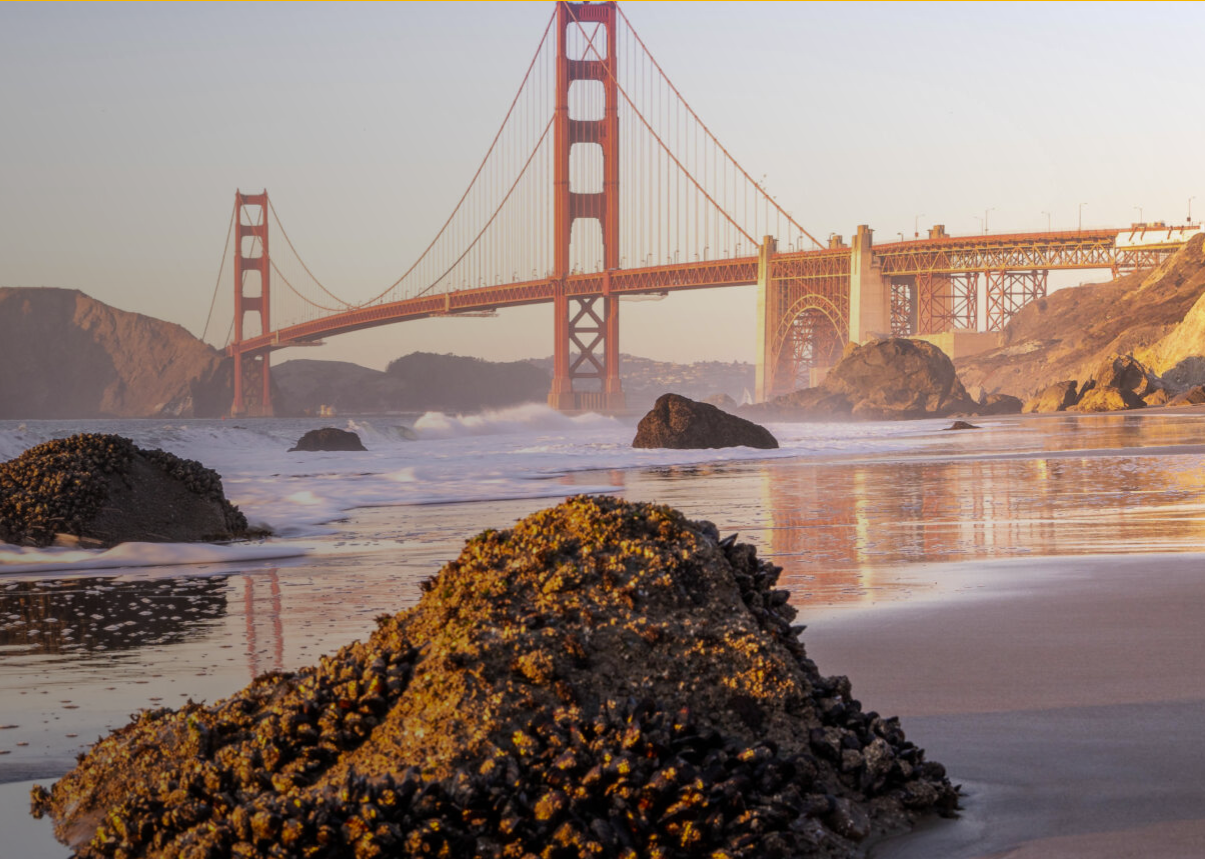 At 70, San Francisco Federal Credit Union Still Works for its Community ...