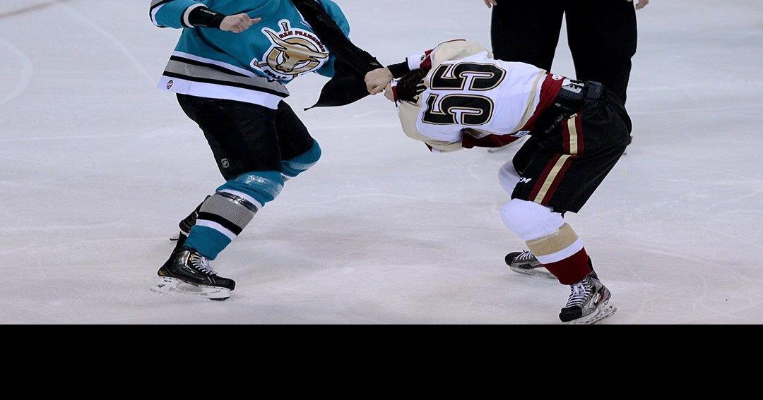 Defenseman Scott Langdon bestowed captain honors for SF Bulls | Sports ...