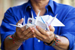 Jeff Cotter builds a tree of hope with a thousand cranes | San ...