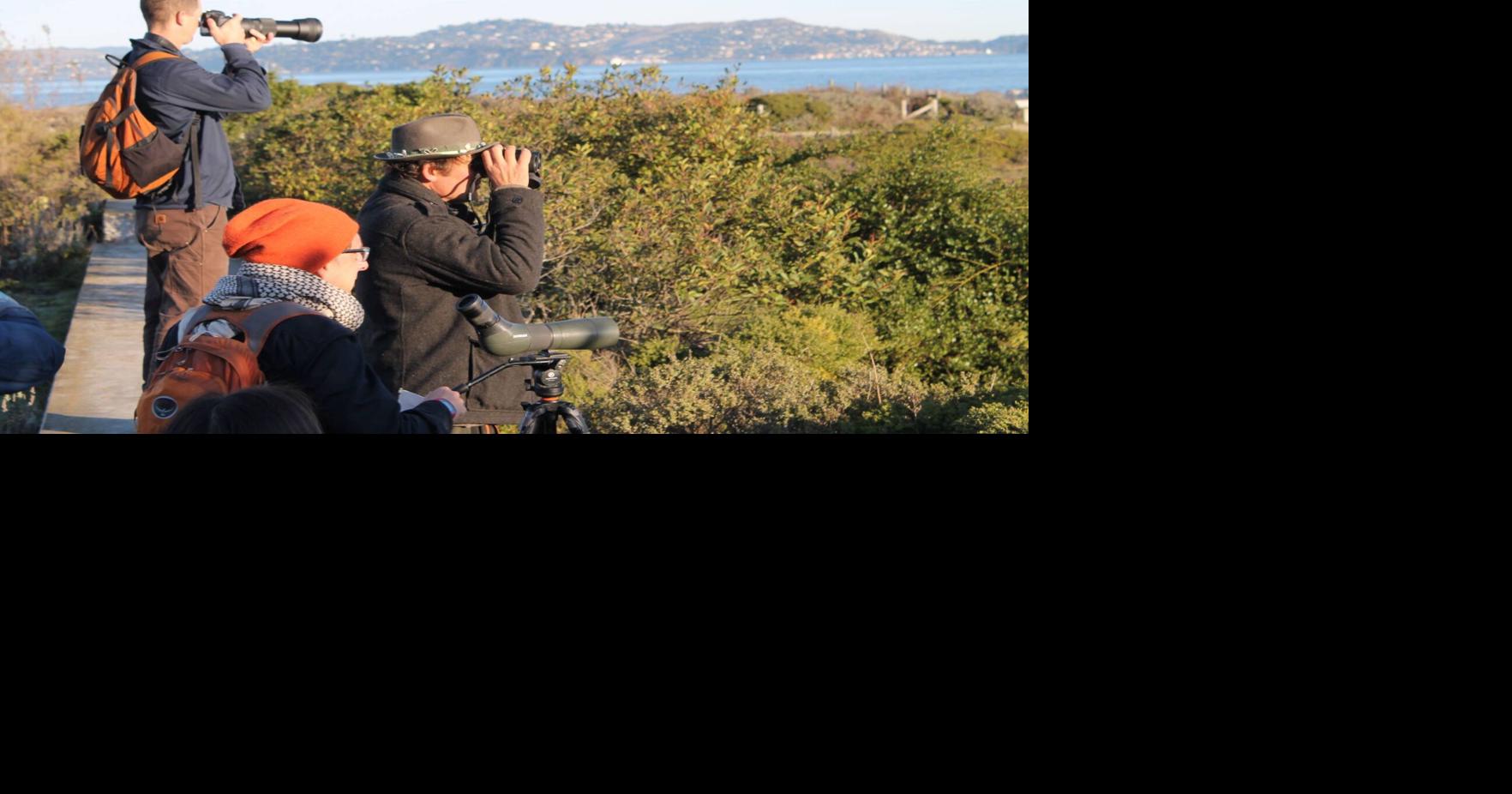 Audubon name change sparks debate in Bay Area chapter | Culture ...