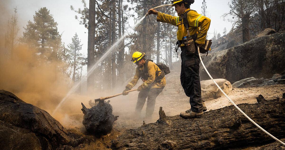 Cal Fire, timber industry must face an inconvenient truth | Archives ...