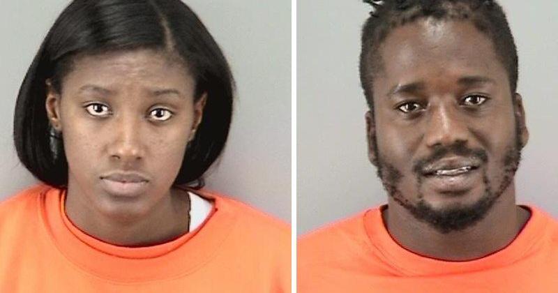 Couple accused of siccing dogs on wild animals in Golden Gate Park ...