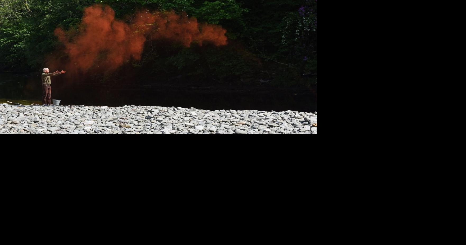 Andy Goldsworthy | | sfexaminer.com