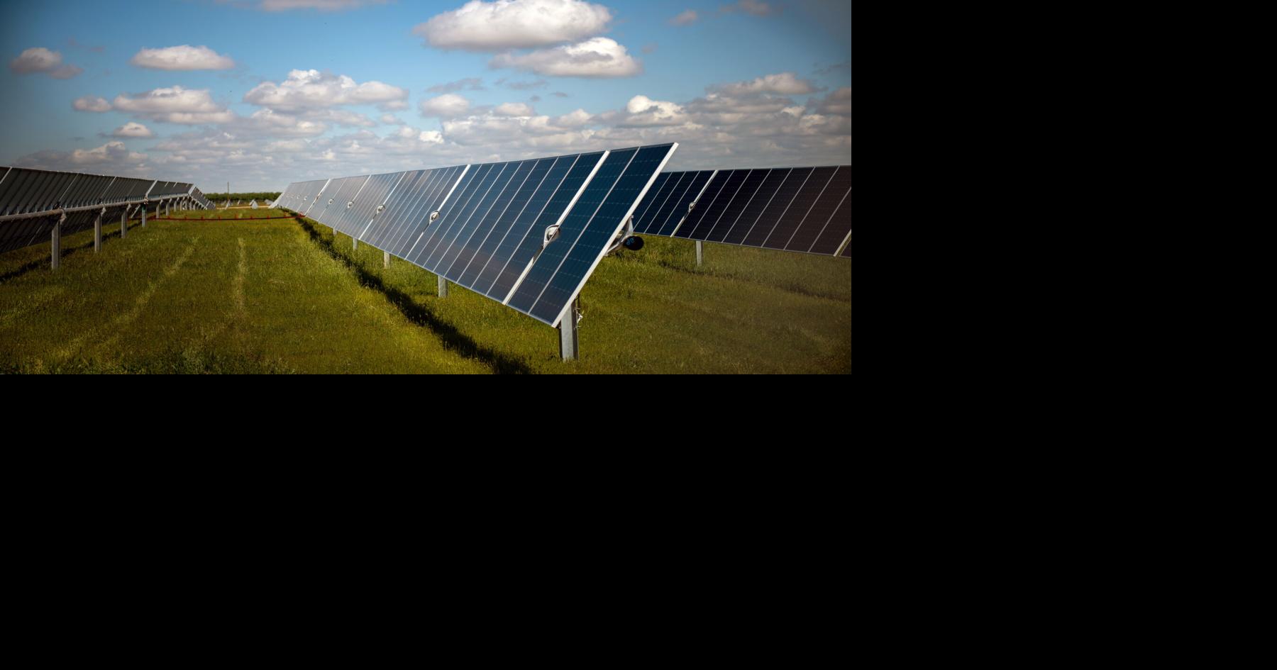 California just pledged to go carbon neutral by 2045. | Politics ...