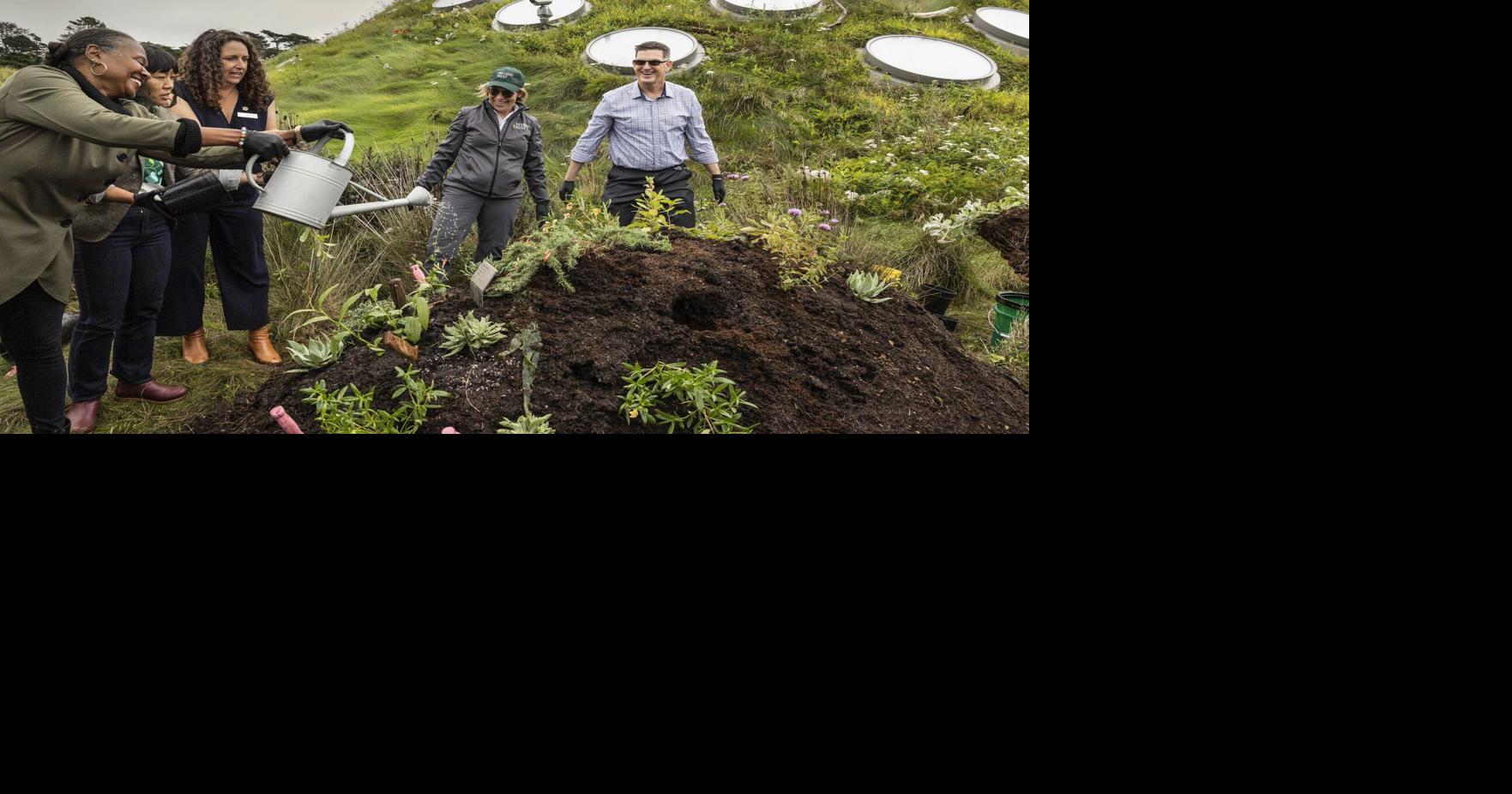 SF groups, leaders team up to bring more green space to city | The City ...