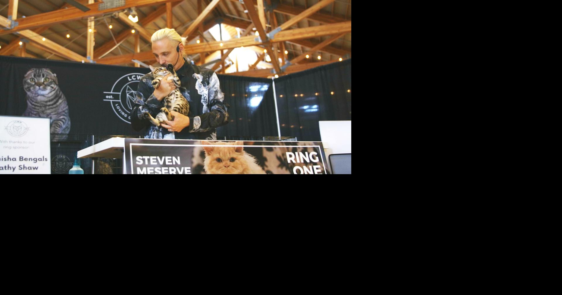 Loving Cats Worldwide brings Cat Extravaganza to Boston | Marketplace ...