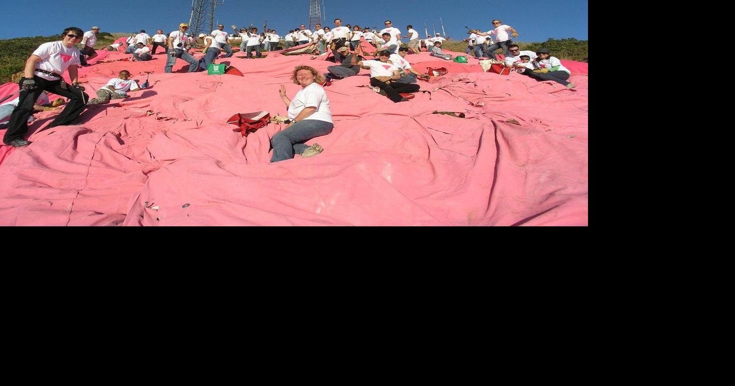 Weed-eating goats clear Twin Peaks to make way for Pink Triangle | San ...