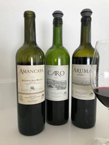 On the Vine: Bodegas CARO partnership blends iconic families, cultures ...